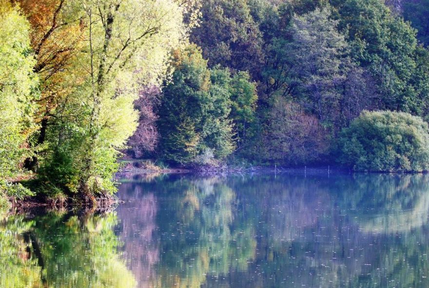 Erlenseer Erlensee-Idylle - Erlensee Aktuell