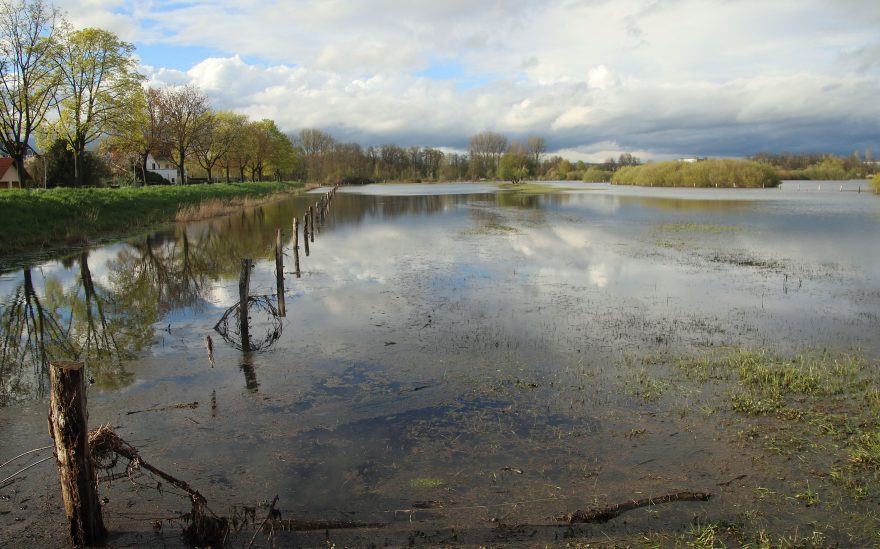 Erlenseer Natur in den Osterferien - Erlensee Aktuell